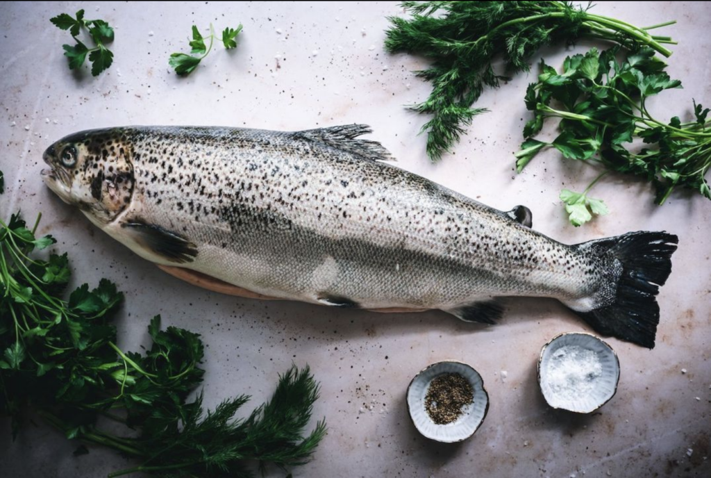 Why Choose Bluehouse Raised Salmon? - Bluehouse Salmon